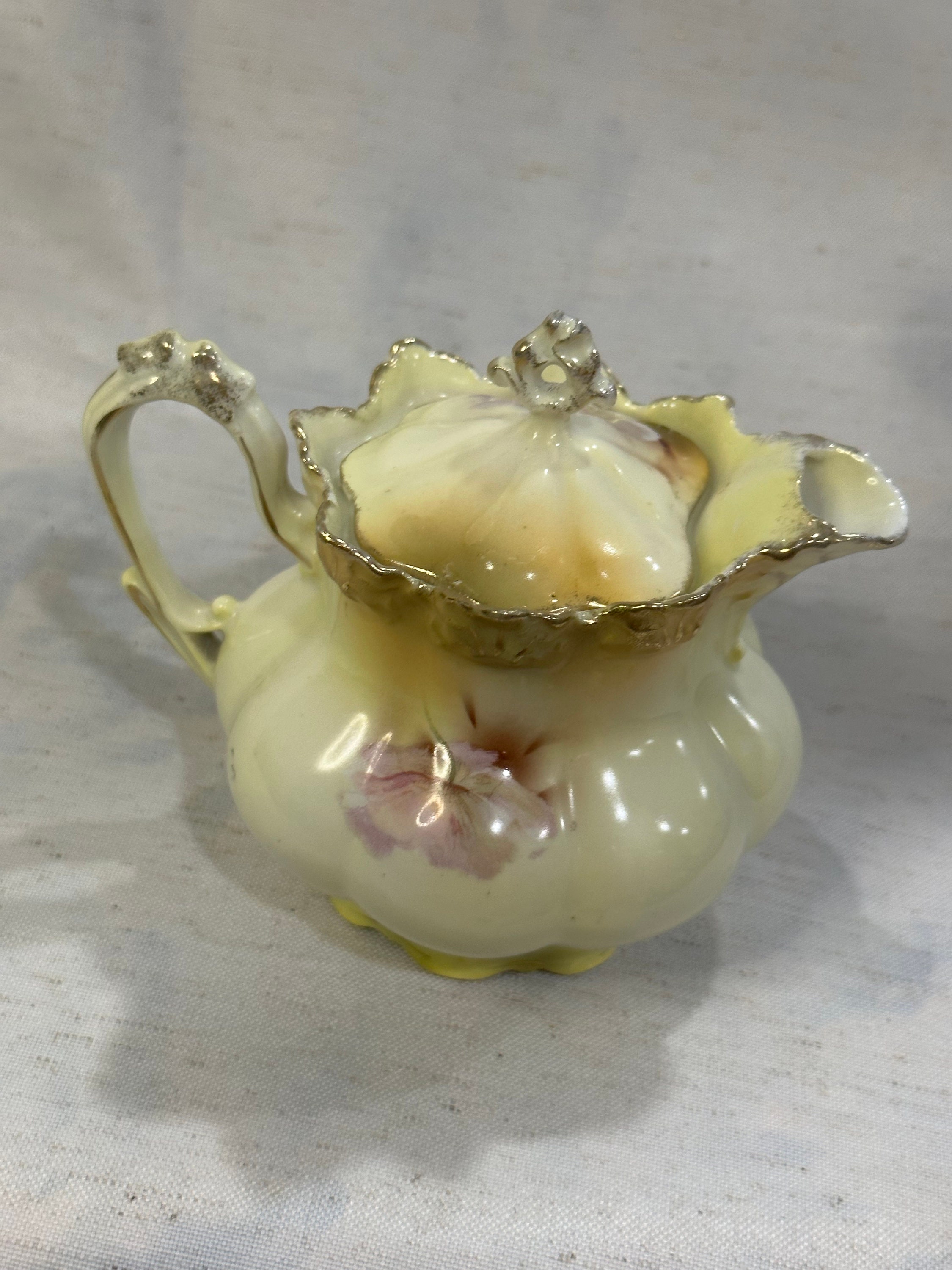 Rare RS Prussia Handpainted Teapot | Circa 1880-1910 - Etsy