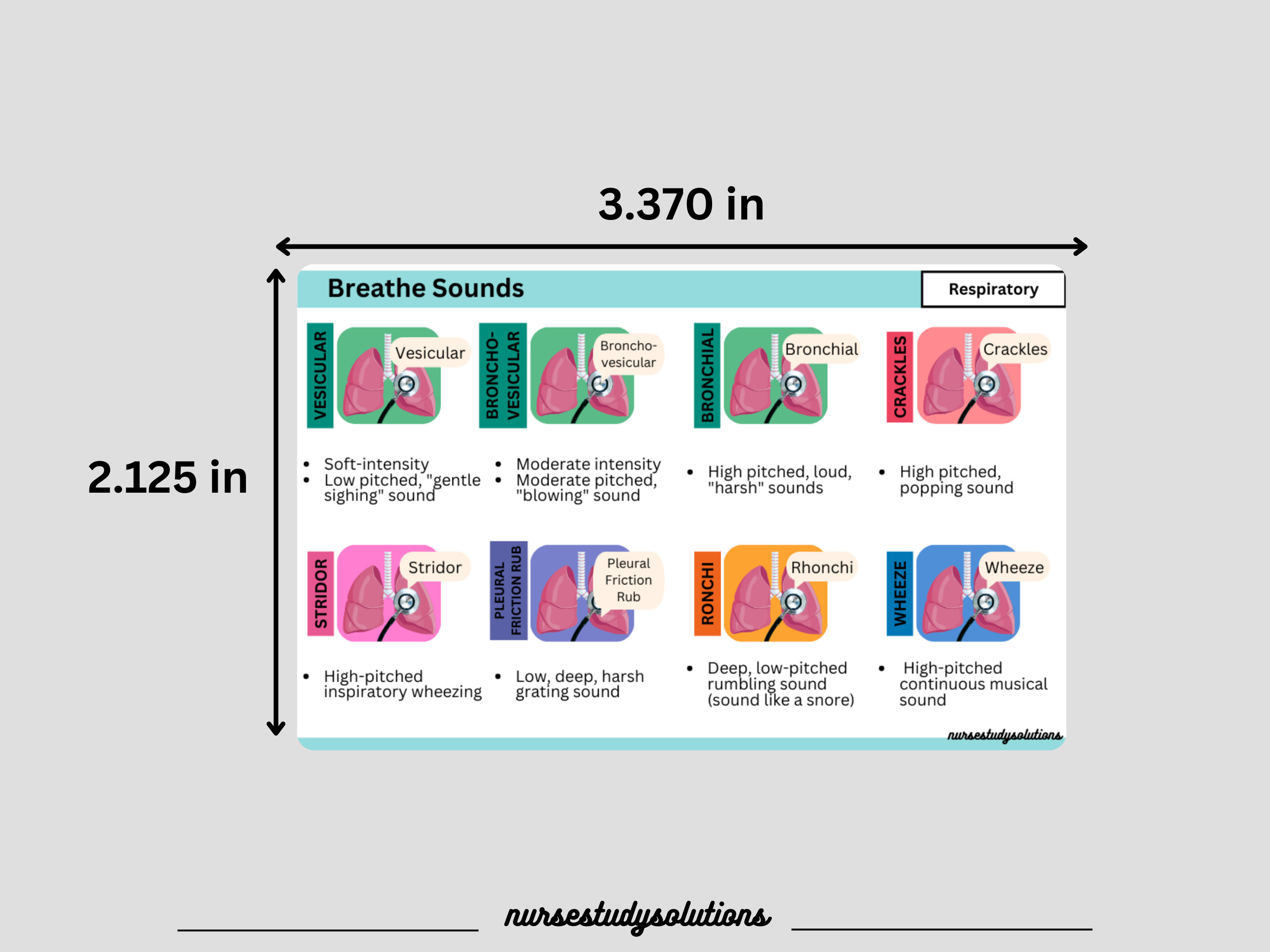 Set of 30 Complete Nurse Reference Badge Card Pack RN Pocket Cards ...