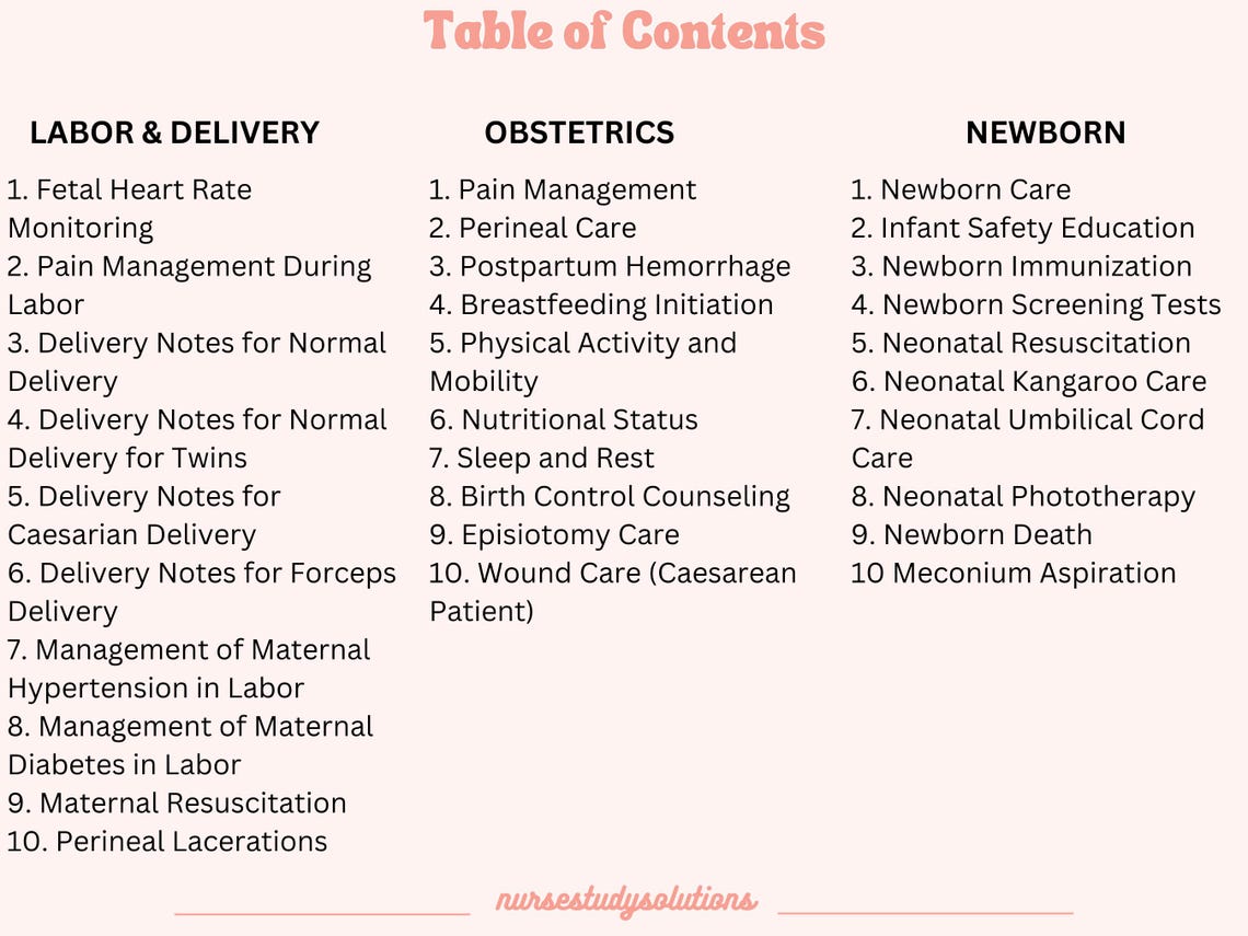 Nursing Documentation Template Ob-maternity SBAR Charting Obstetrics ...