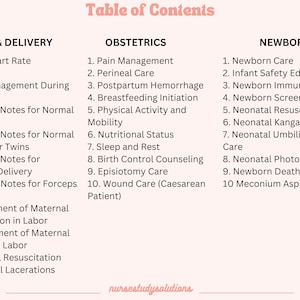 Nursing Documentation Template Ob-maternity SBAR Charting Obstetrics ...