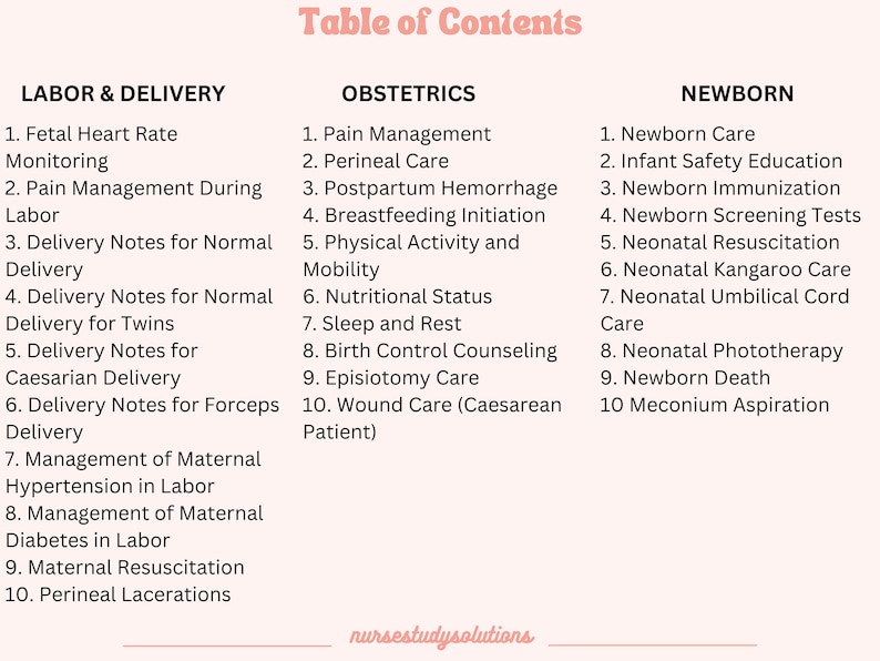 Nursing Documentation Template Ob-maternity SBAR Charting Obstetrics ...