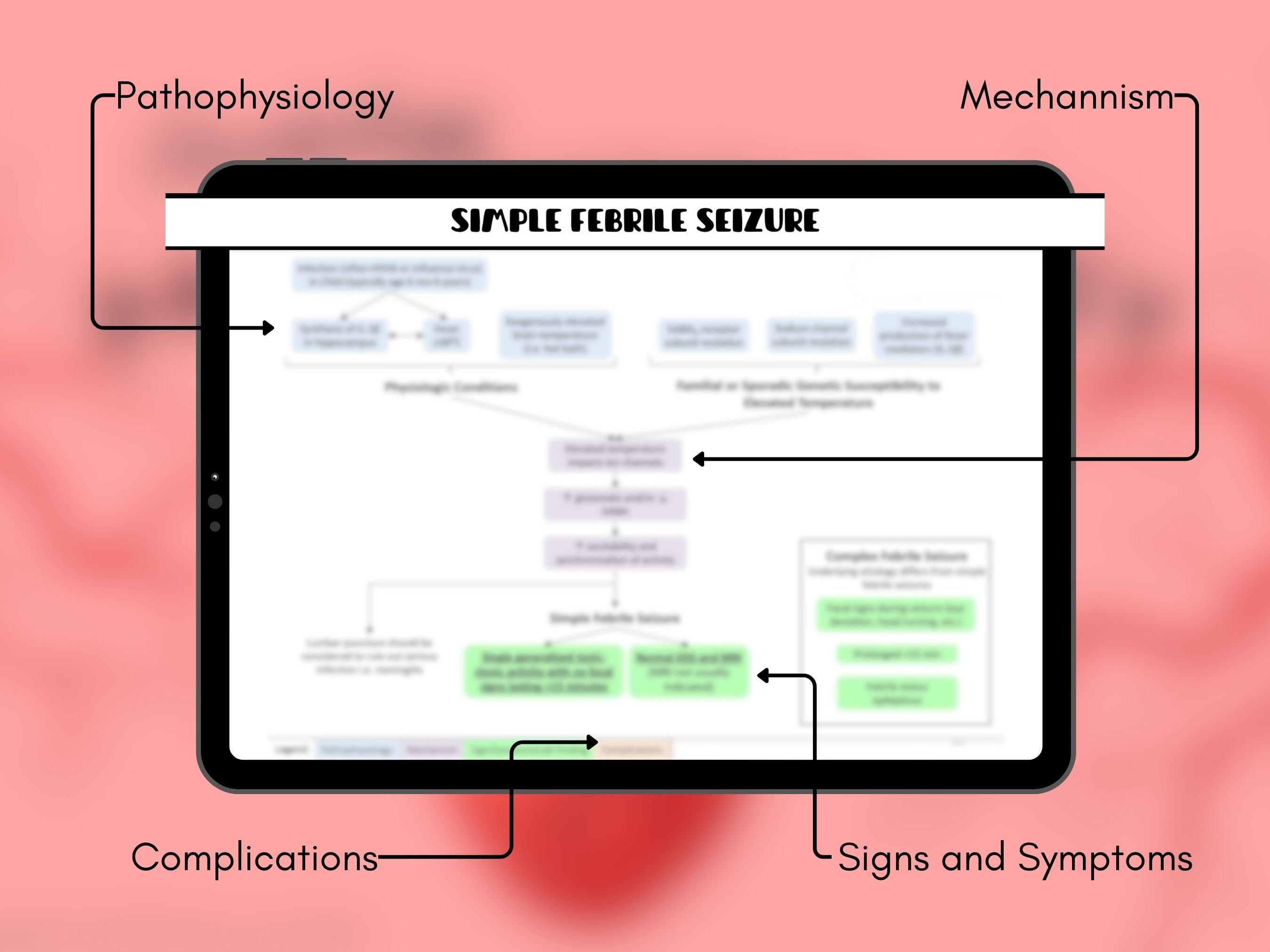 31 Cardiology Pathophysiology Nursing Concept Map Disease ...