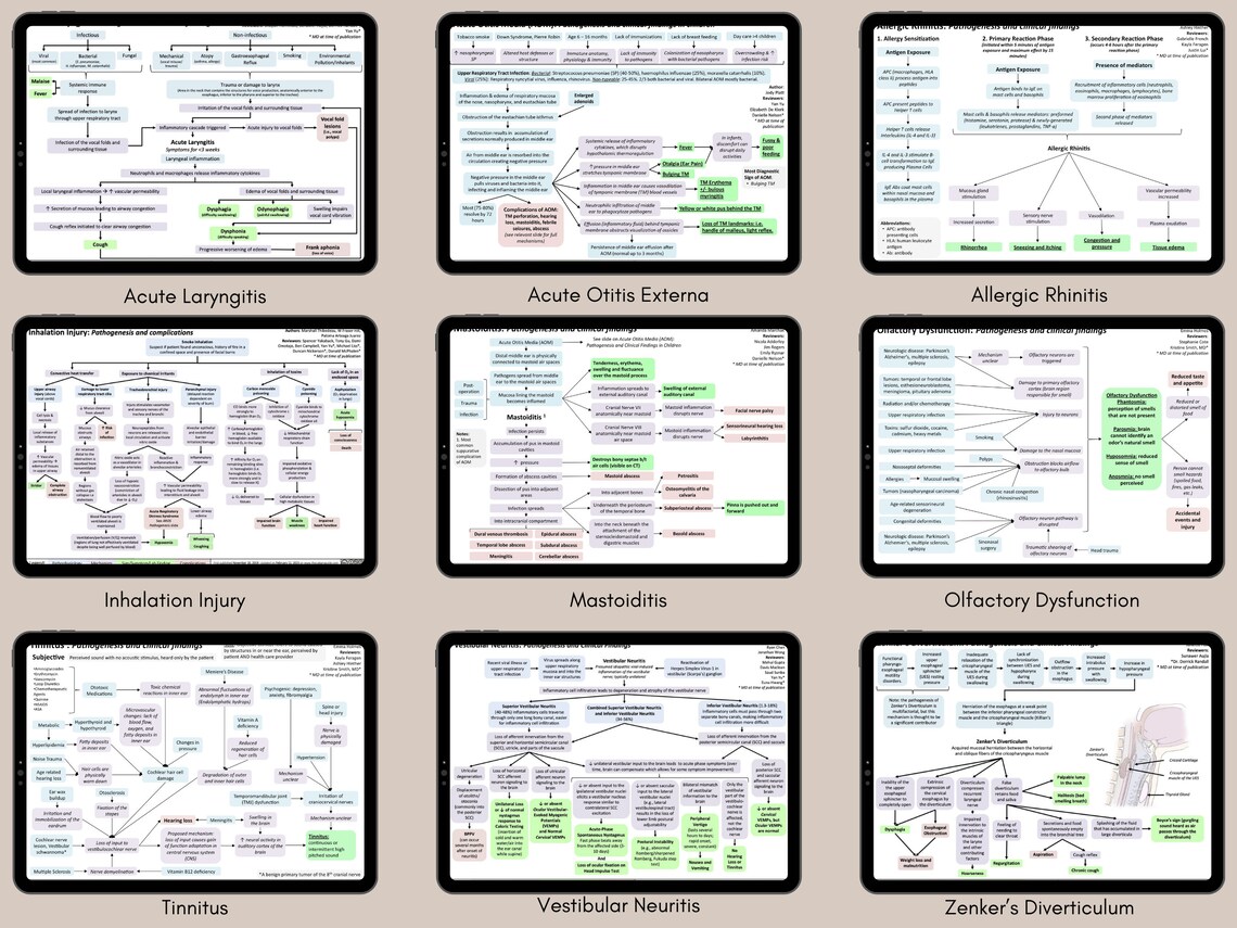 12 ENT Pathophysiology Nursing Concept Map Diseases Pathophysiology ...