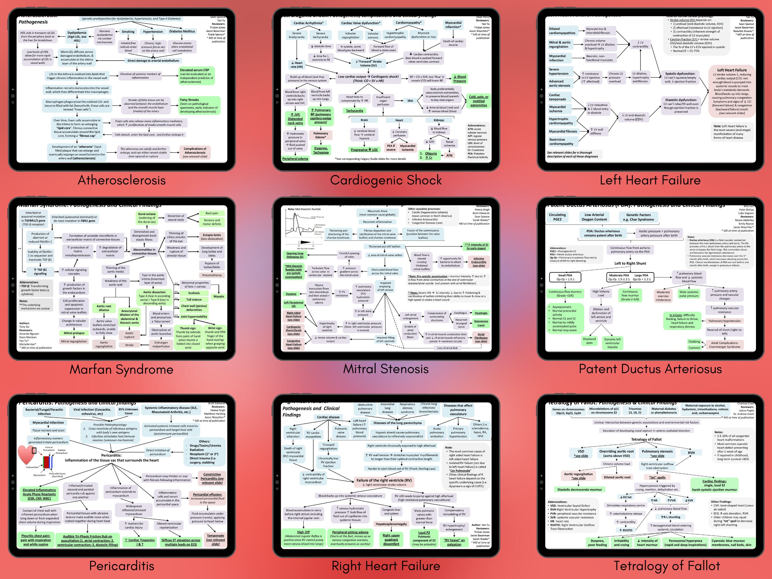 31 Cardiology Pathophysiology Nursing Concept Map Disease ...
