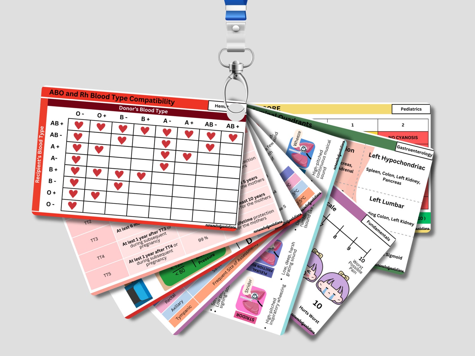 Set of 30 Complete Nurse Reference Badge Card Pack RN Pocket Cards ...