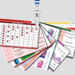 Set of 30 Complete Nurse Reference Badge Card Pack RN Pocket Cards ...