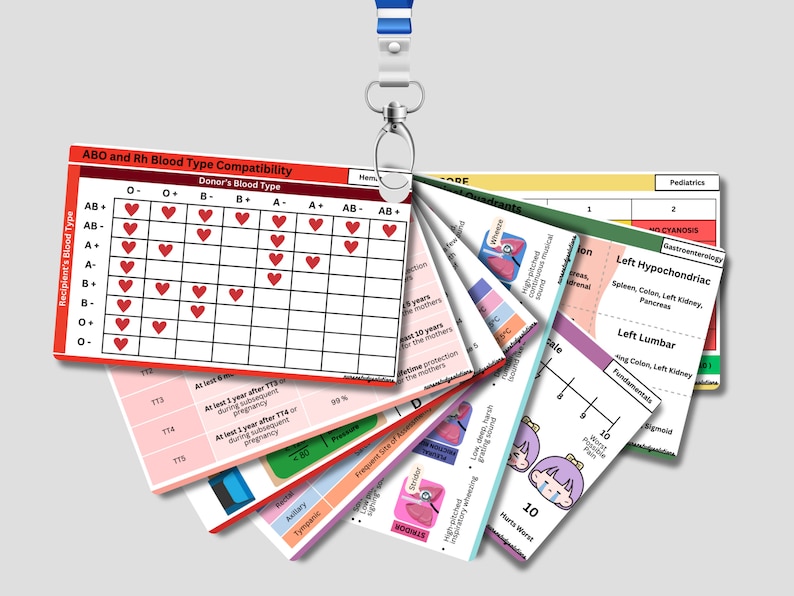 Set of 30 Complete Nurse Reference Badge Card Pack RN Pocket Cards ...