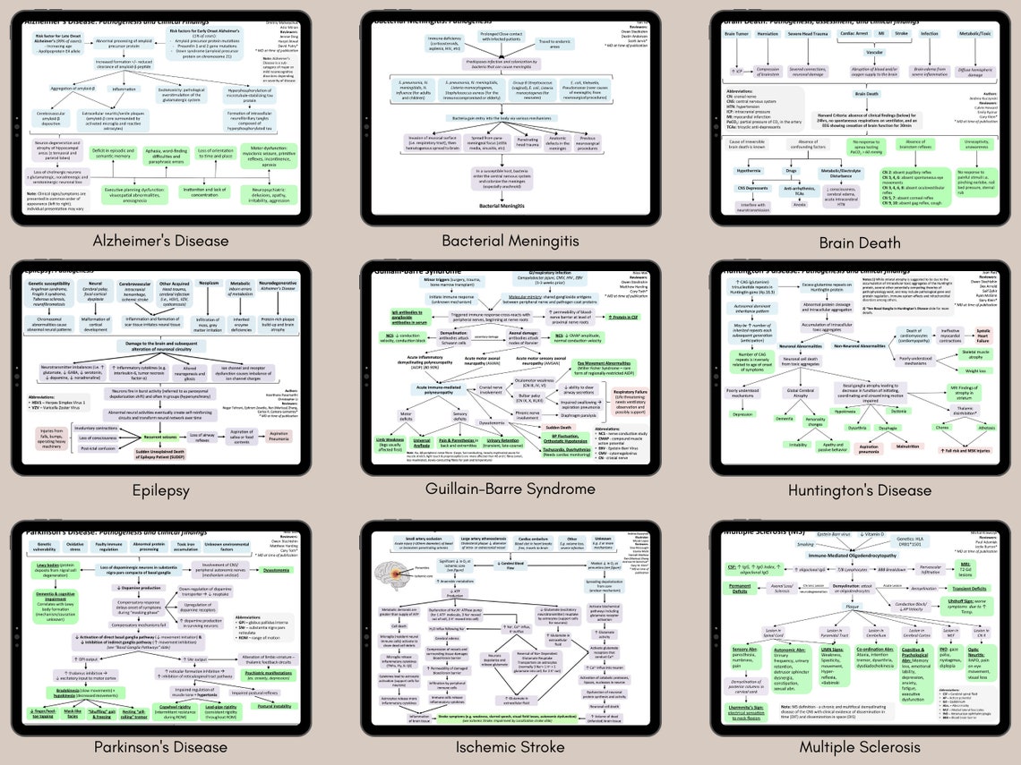 29 Neurology Pathophysiology Nursing Concept Map Disease ...