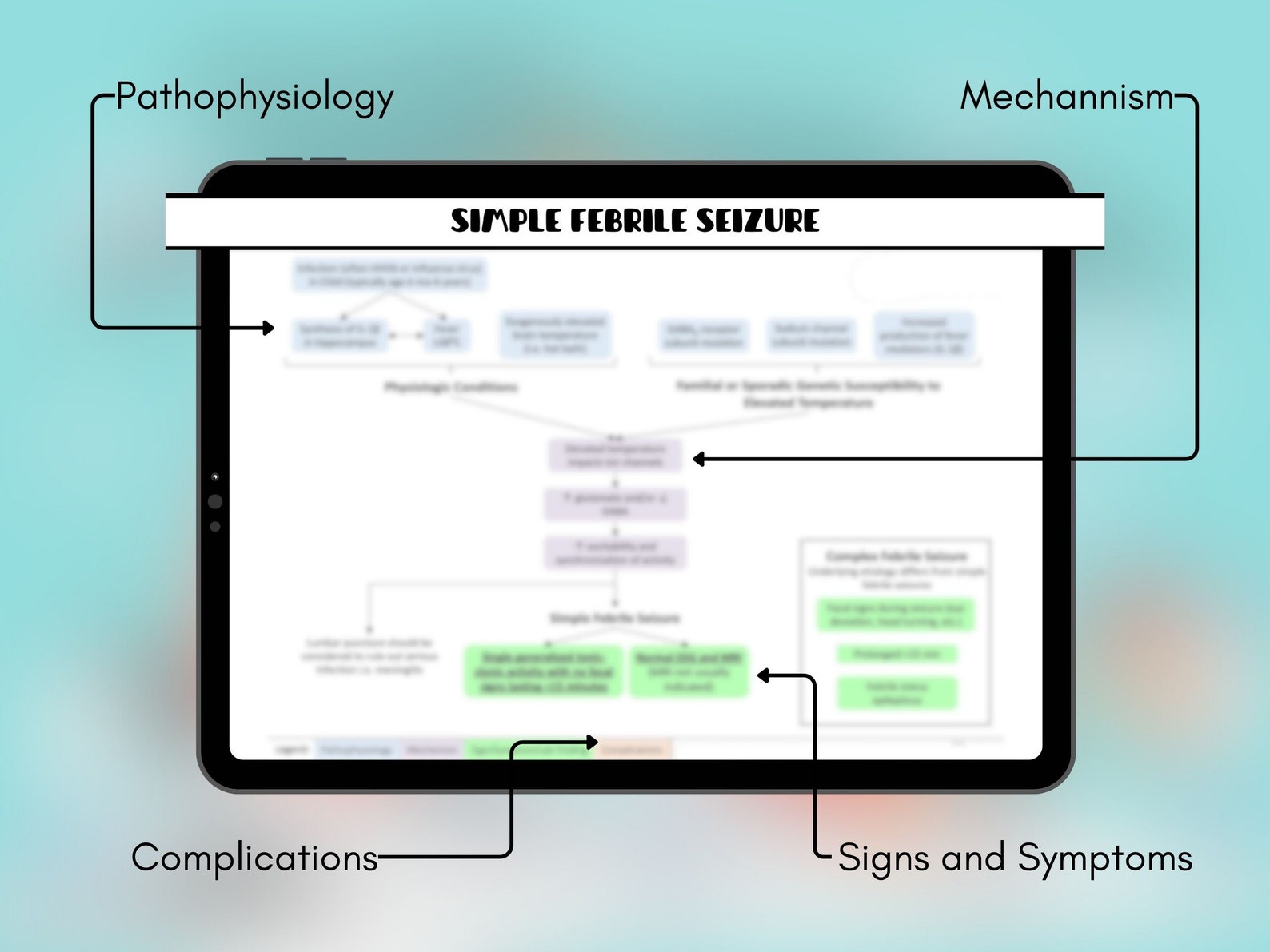 27 Respiratory Pathophysiology Nursing Concept Map Diseases ...