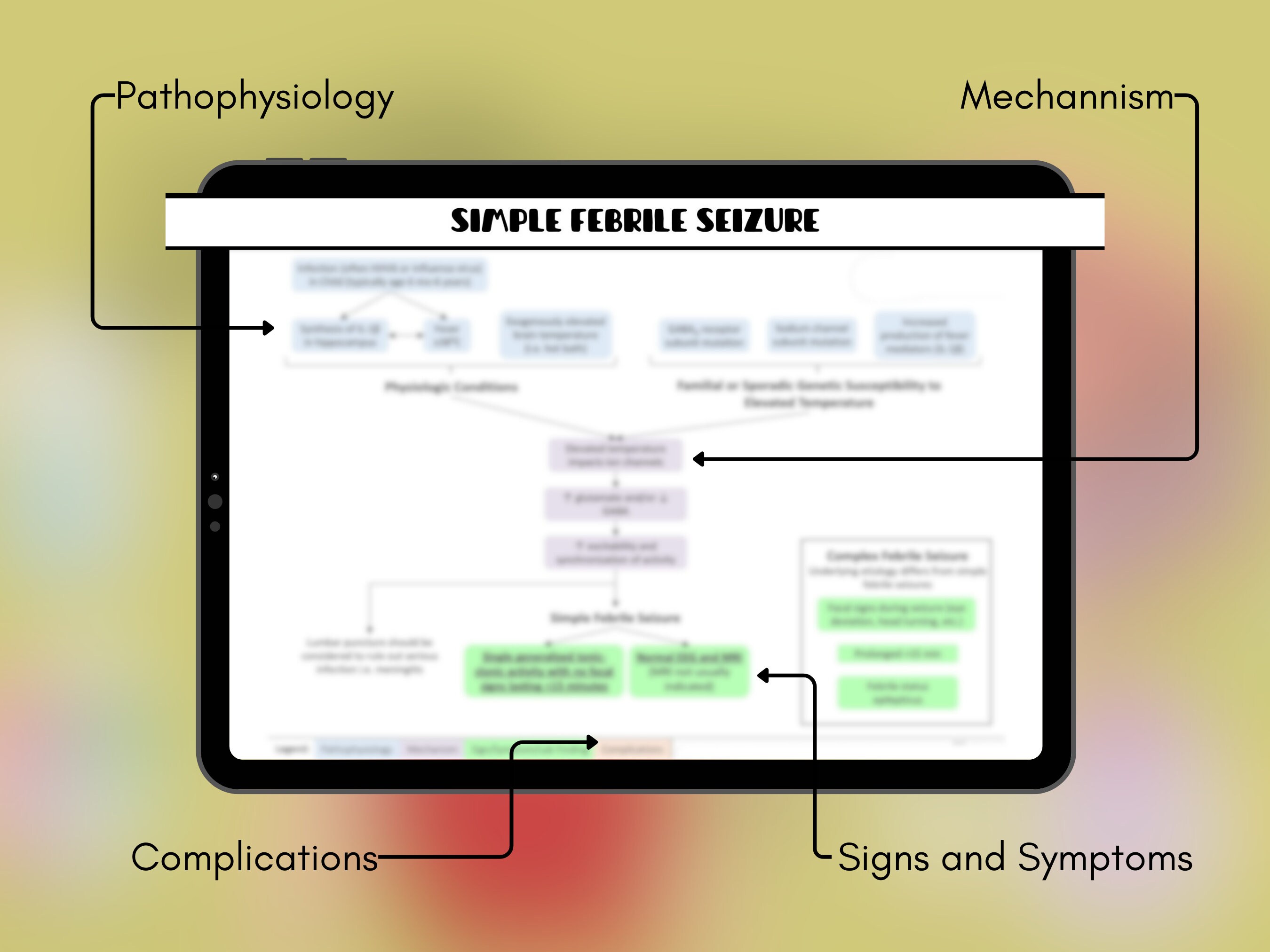 45 Dermatology Pathophysiology Nursing Concept Map Diseases ...