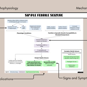 45 Dermatology Pathophysiology Nursing Concept Map Diseases ...