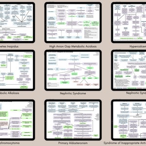 18+ Nephrology Pathophysiology Nursing Concept Map Diseases ...
