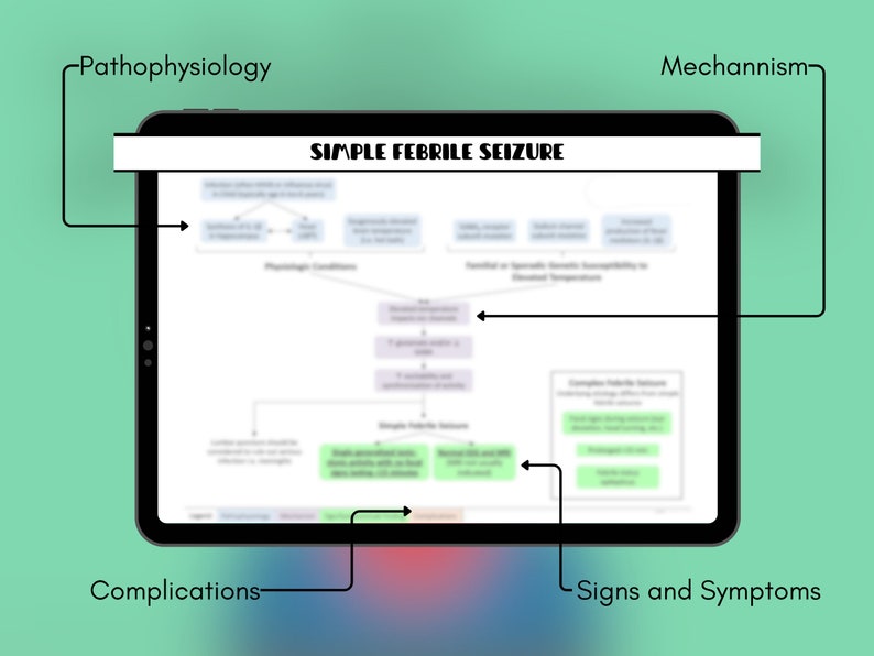 12 ENT Pathophysiology Nursing Concept Map Diseases - Etsy