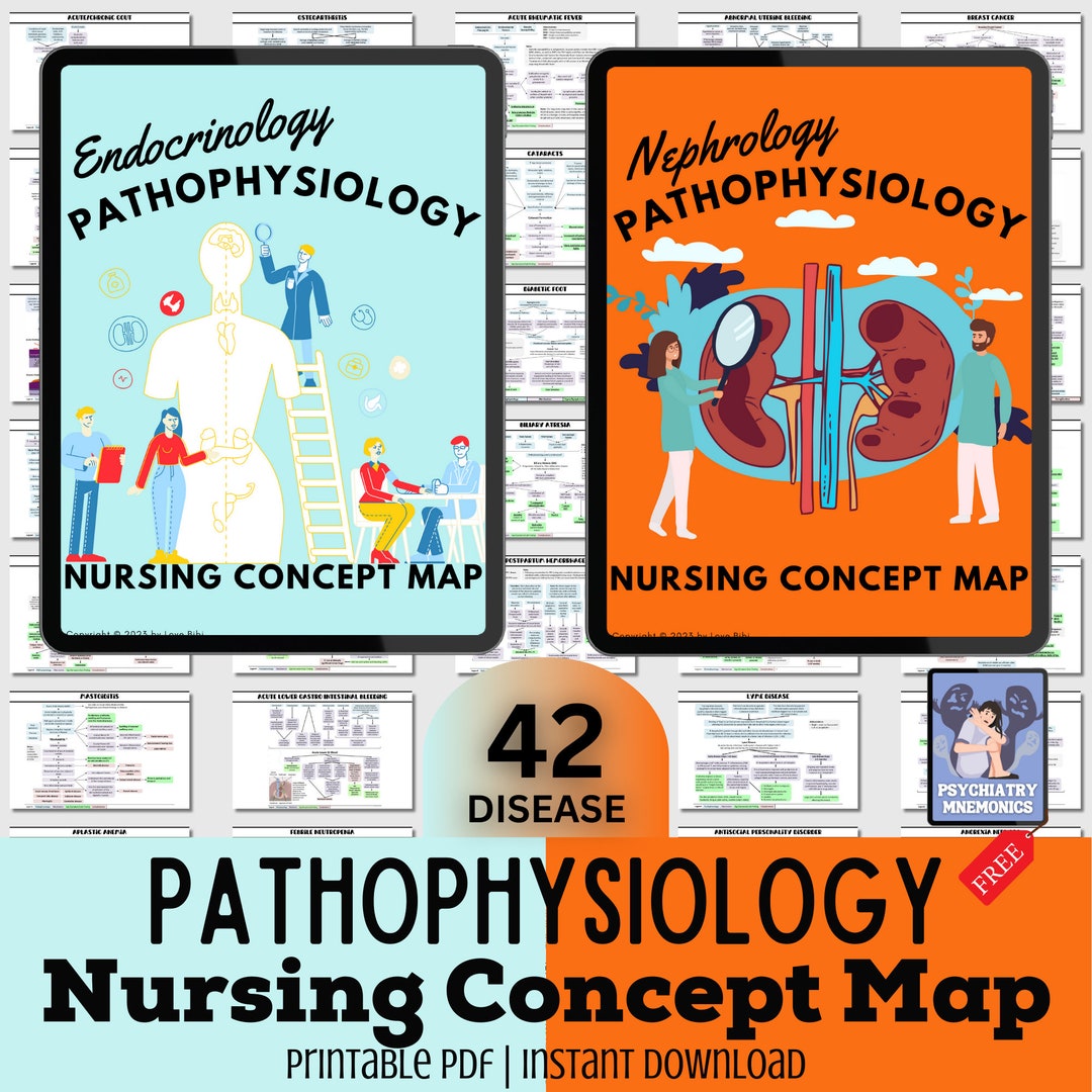 Endocrinology Pathophysiology + Nephrology Pathophysiology Bundle ...