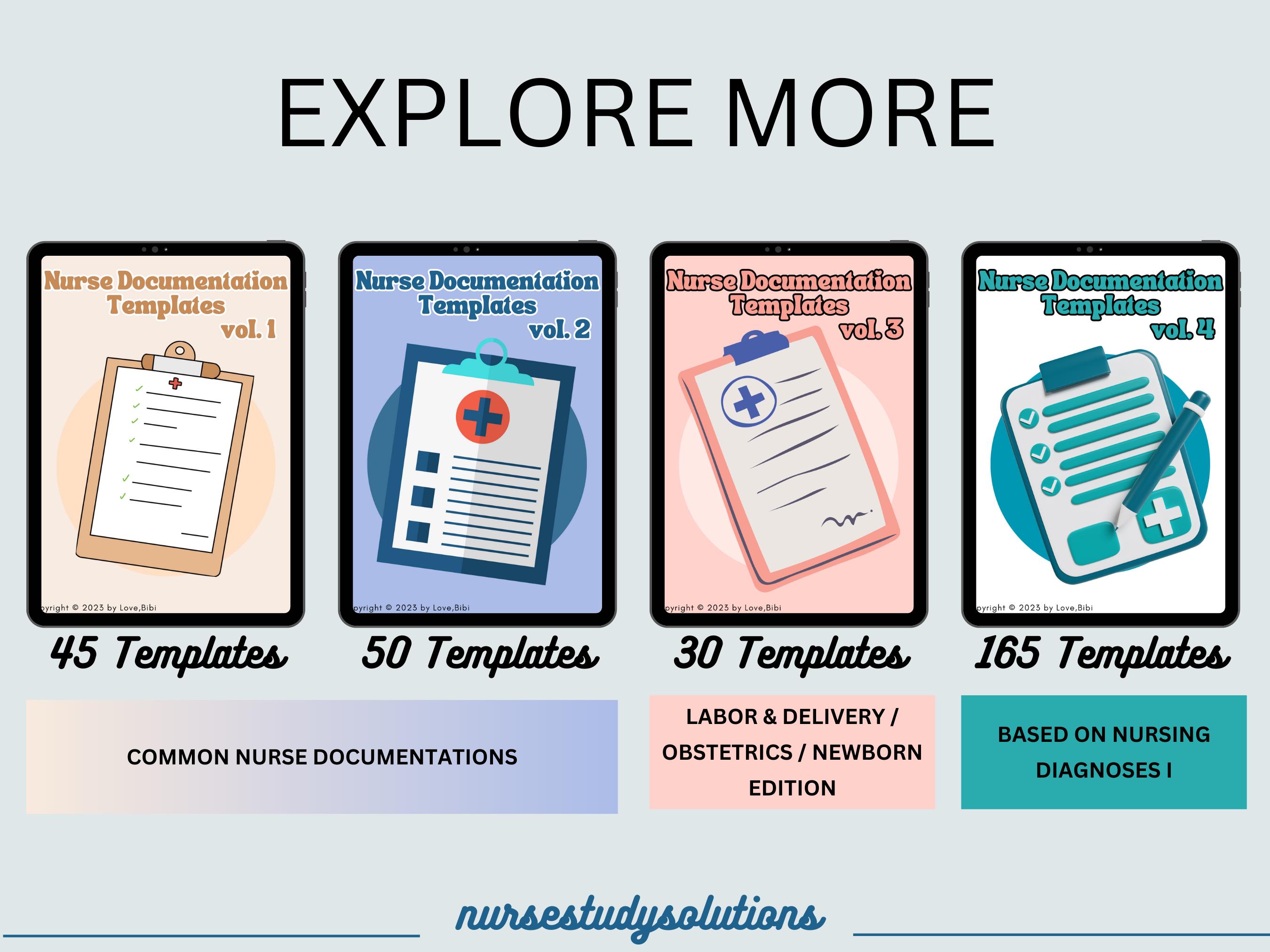 Nurse Documentation Template Nurse Charting Template Nurse Report Sheet ...