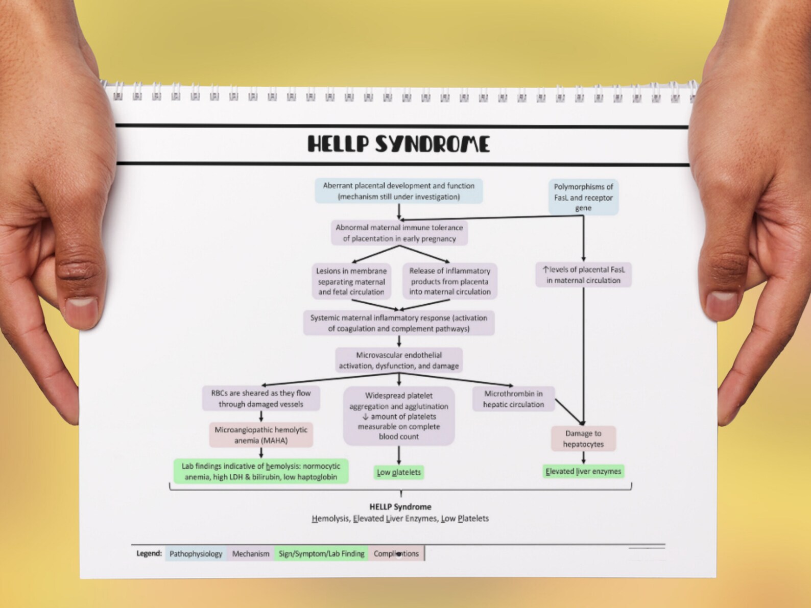 25 Pediatrics Pathophysiology Nursing Concept Map Disease ...