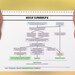 25 Pediatrics Pathophysiology Nursing Concept Map Disease ...
