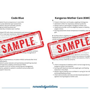 Nurse Documentation Template Nurse Charting Template Nurse Report Sheet ...