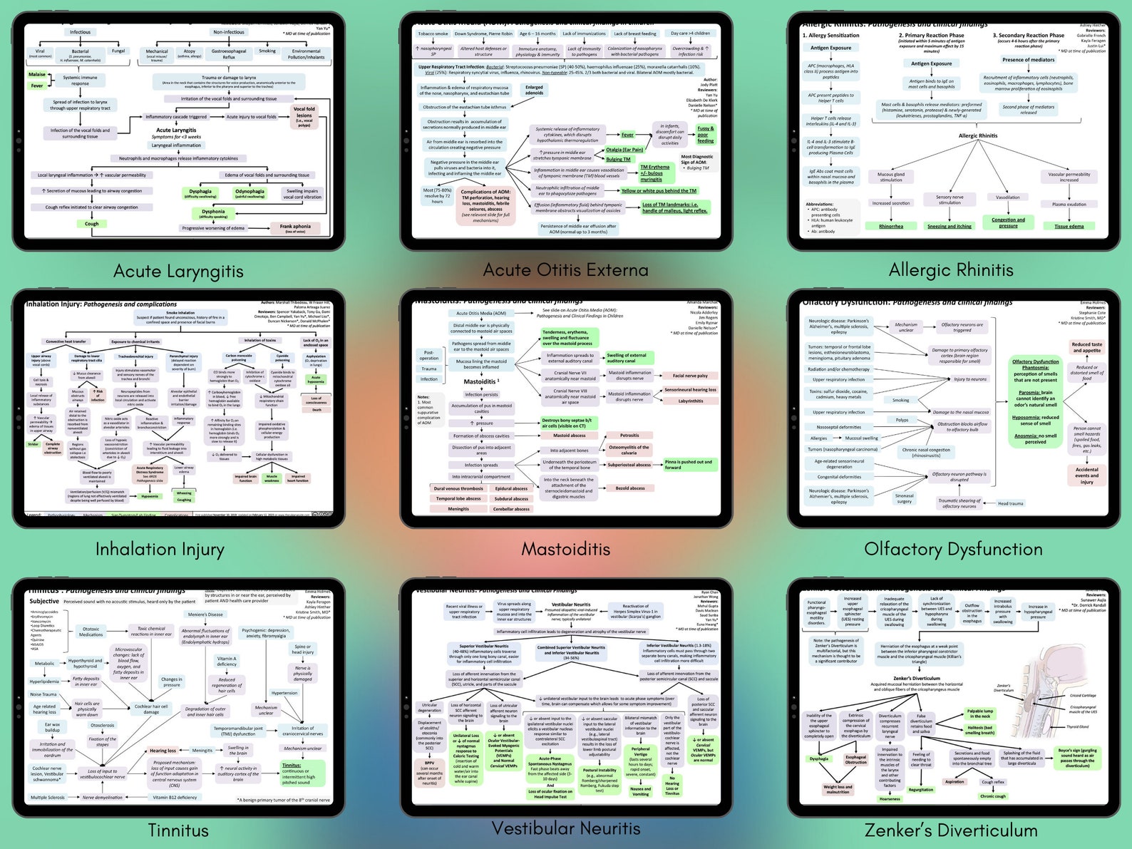 12 ENT Pathophysiology Nursing Concept Map Diseases - Etsy