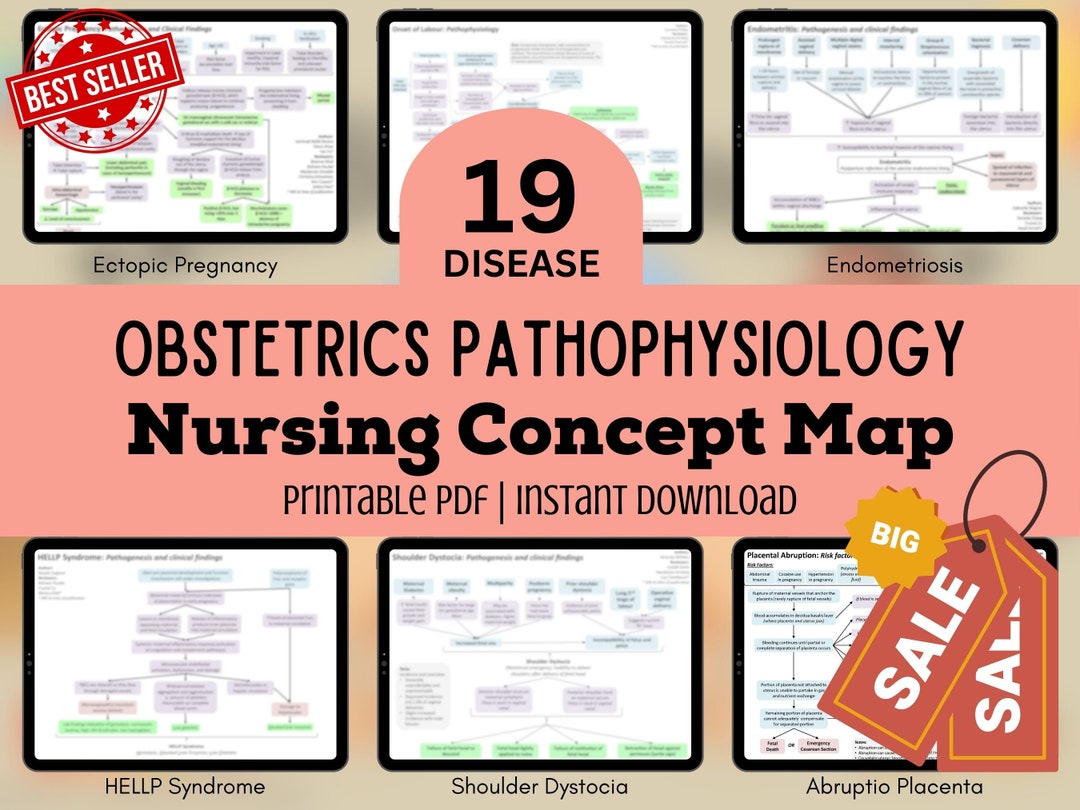 19 Obstetrics Pathophysiology Nursing Concept Map Diseases - Etsy