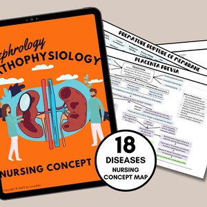 18+ Nephrology Pathophysiology Nursing Concept Map Diseases ...