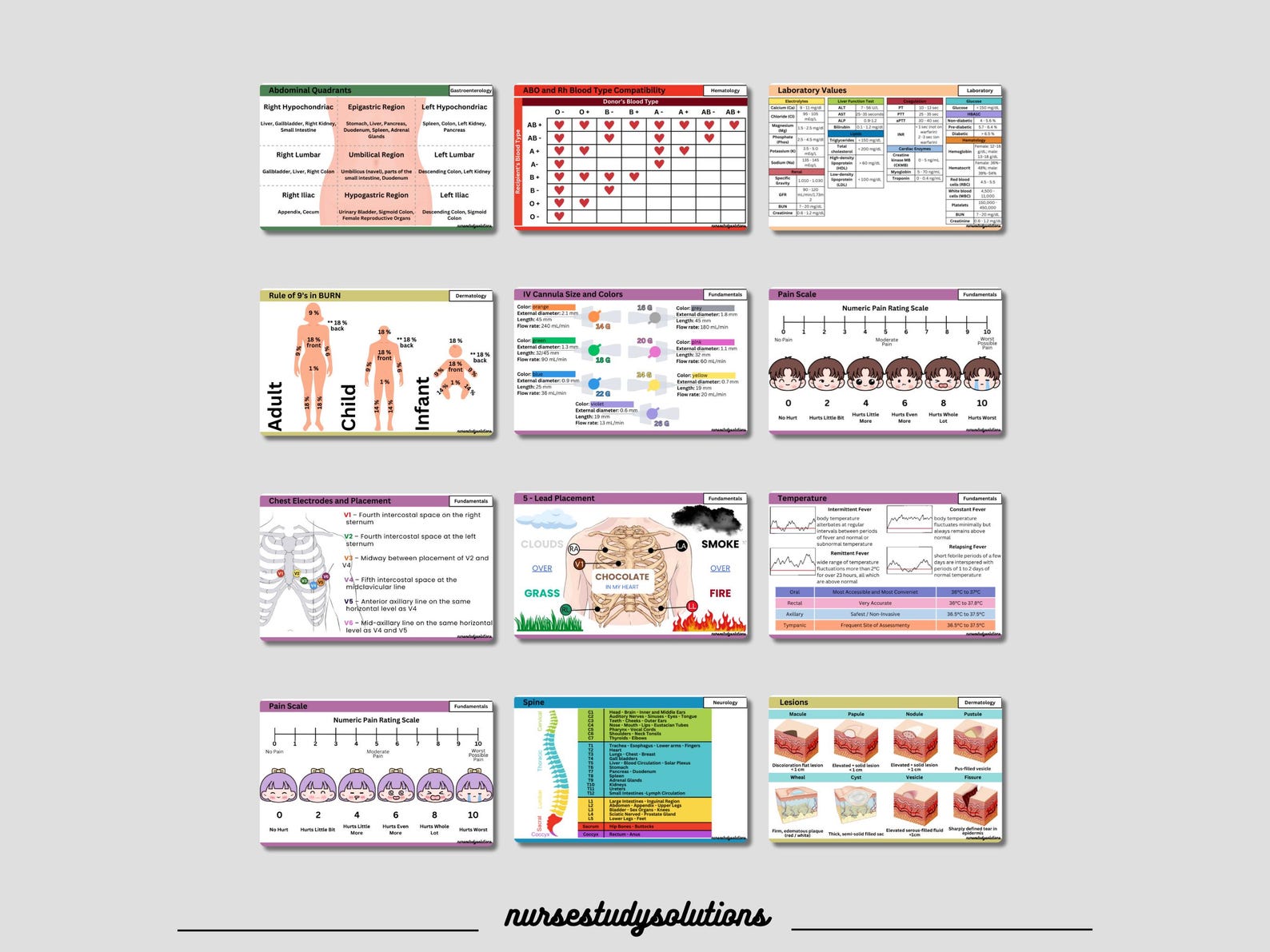 Set of 20 Complete Nurse Reference Badge Card Pack Bundle Emergency ...
