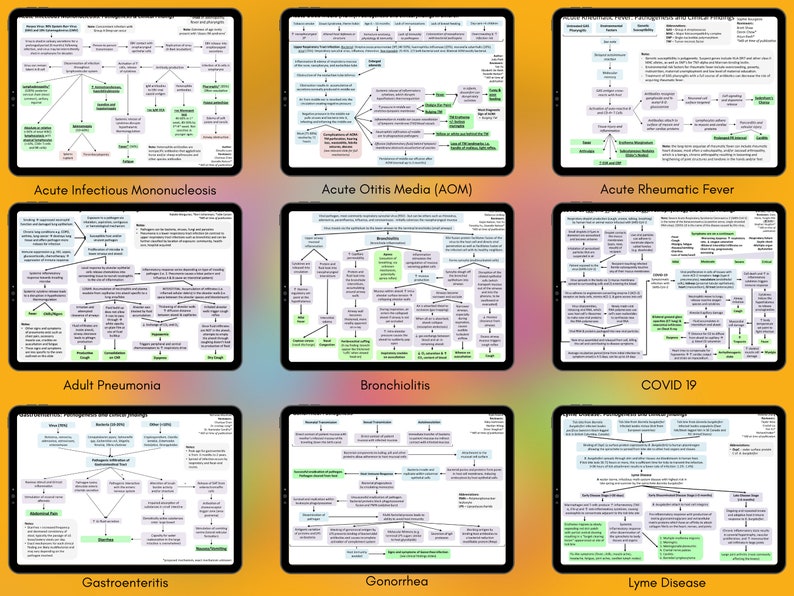 Infectious Disease Pathophysiology Gynecology Pathophysiology Bundle ...