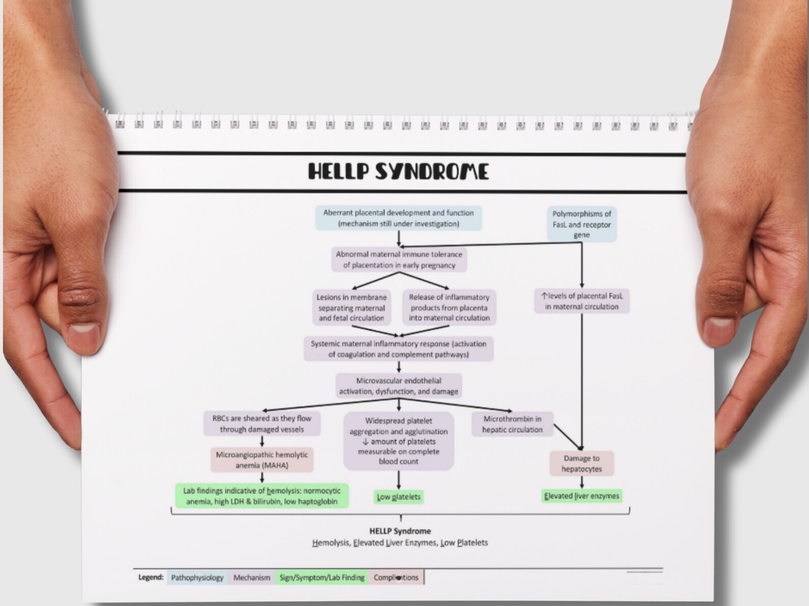 Endocrinology Pathophysiology Nephrology Pathophysiology Bundle Nursing Concept Map Diseases ...