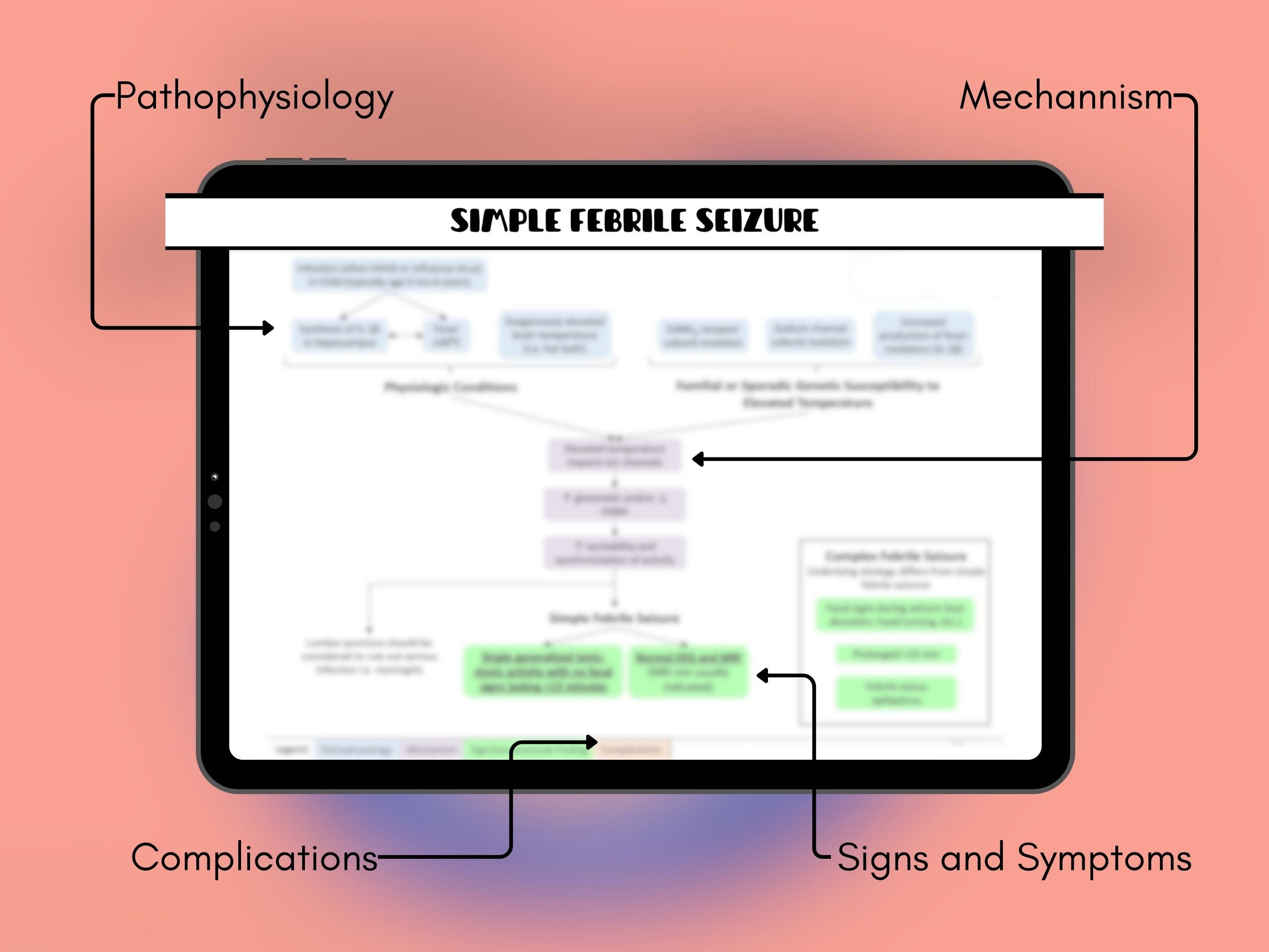 19 Obstetrics Pathophysiology Nursing Concept Map Diseases ...