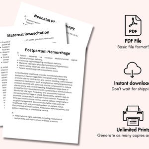 Nursing Documentation Template Ob-maternity SBAR Charting Obstetrics ...