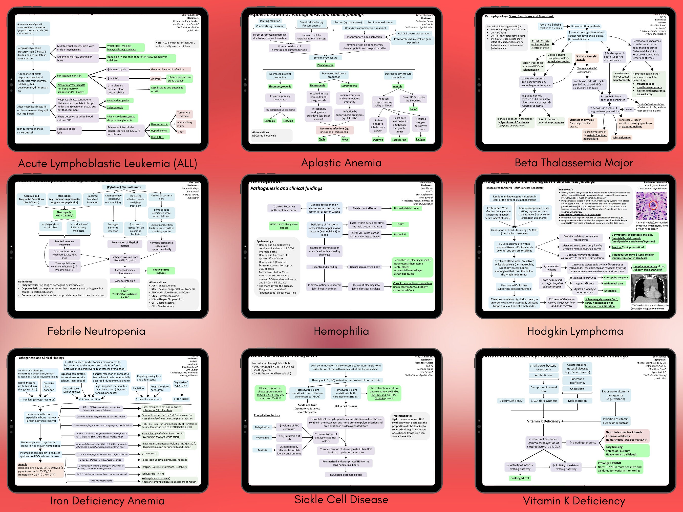 39 Hematology Pathophysiology Nursing Concept Map Disease ...