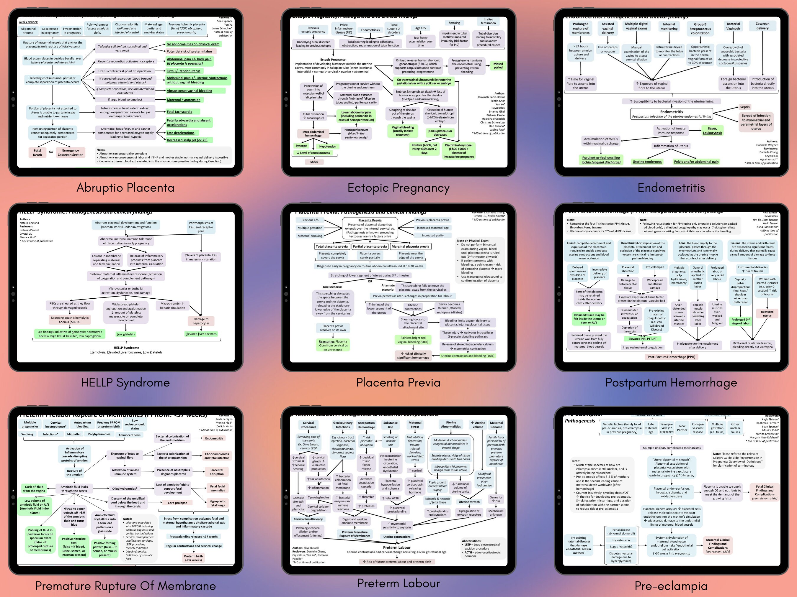 19 Obstetrics Pathophysiology Nursing Concept Map Diseases ...