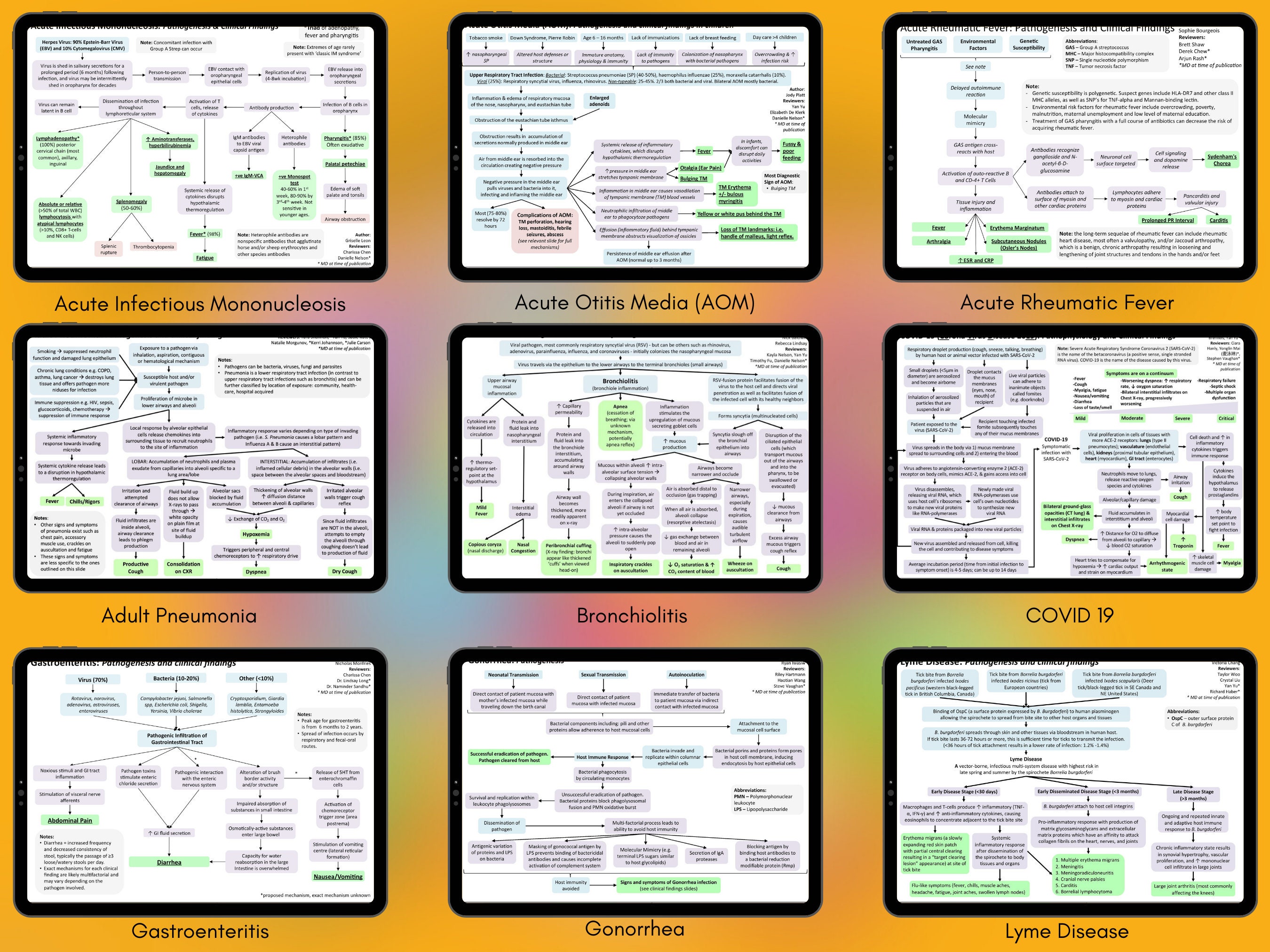 31 Infectious Disease Pathophysiology Nursing Concept Map Disease ...
