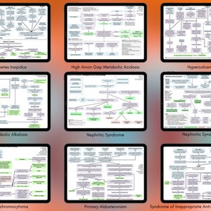 Endocrinology Pathophysiology + Nephrology Pathophysiology Bundle ...
