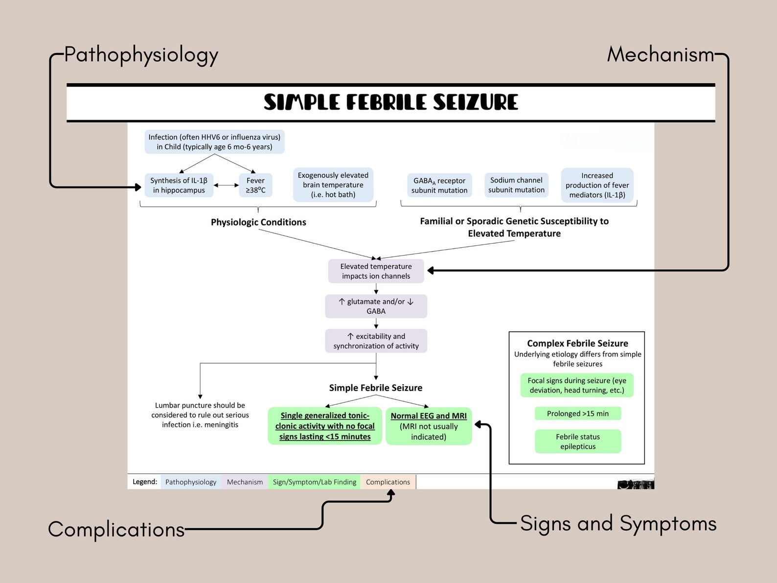 37 Orthopedics Pathophysiology Nursing Concept Map Diseases ...