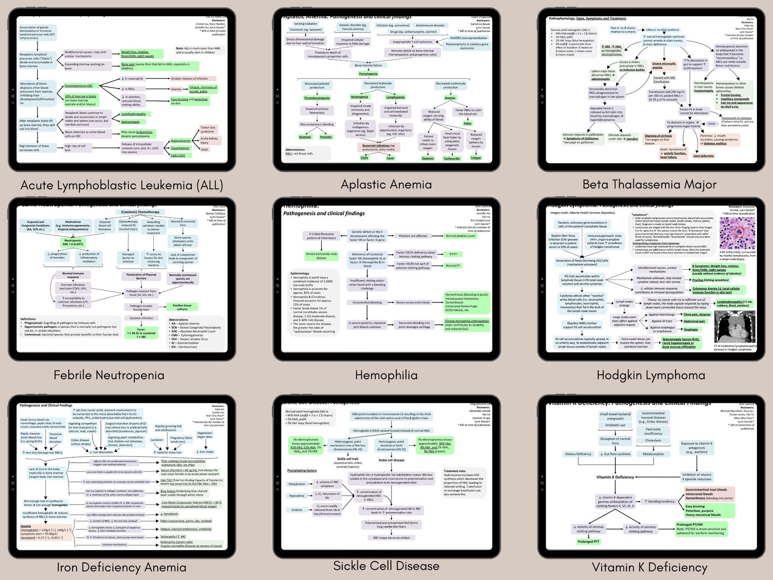 39 Hematology Pathophysiology Nursing Concept Map Disease ...