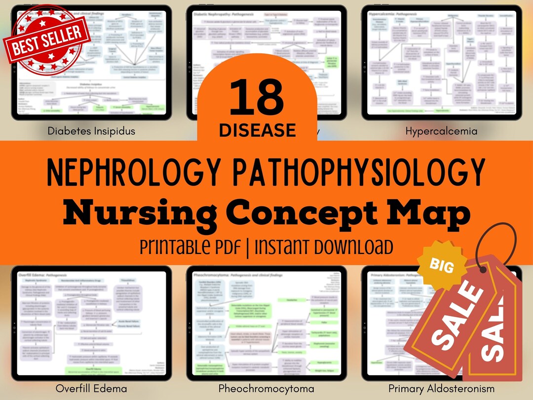 18 Nephrology Pathophysiology Nursing Concept Map Diseases - Etsy