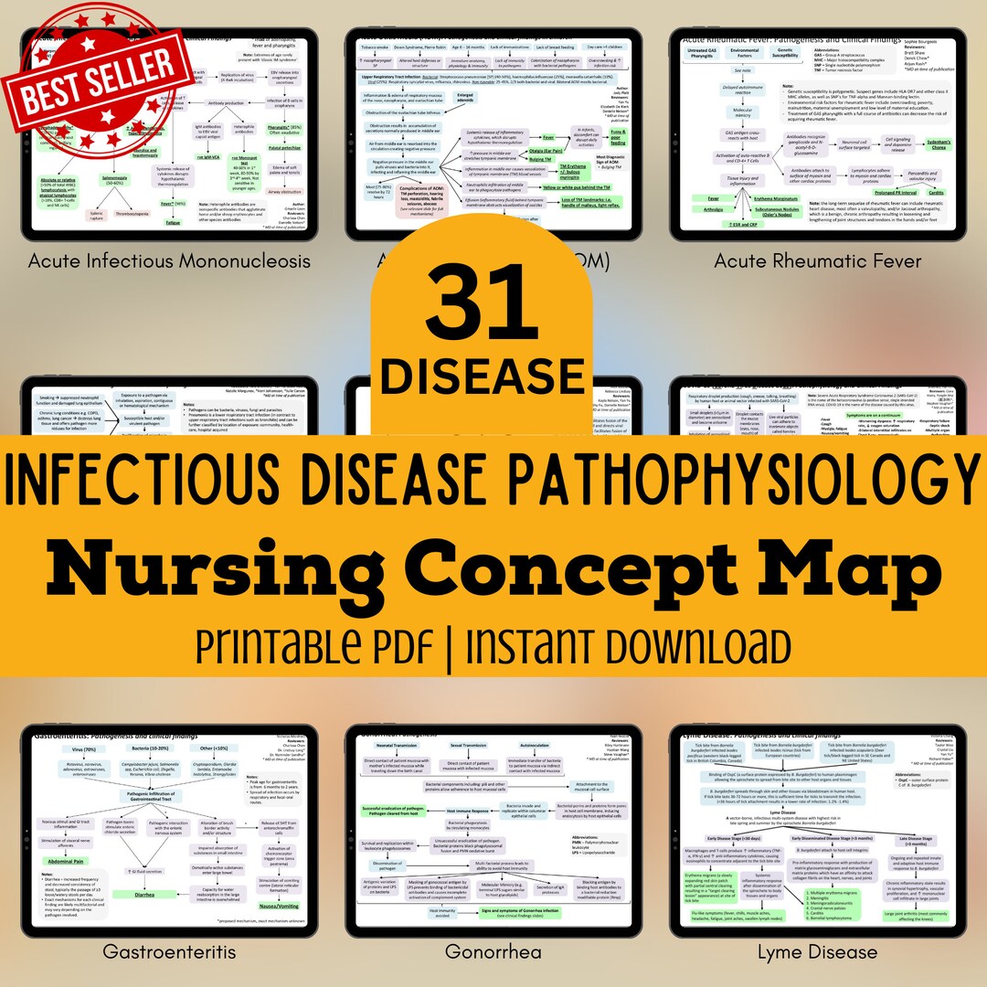 31 Infectious Disease Pathophysiology Nursing Concept Map Disease ...