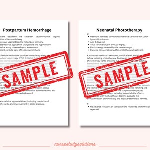 Nursing Documentation Template Ob-maternity SBAR Charting Obstetrics ...