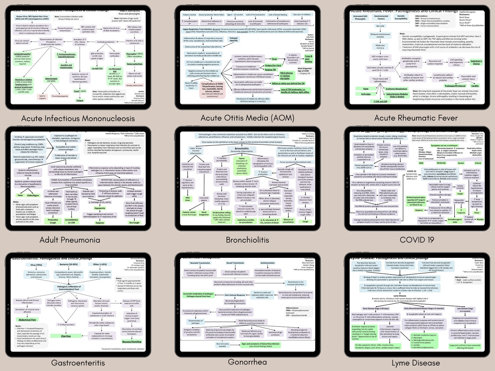 31 Infectious Disease Pathophysiology Nursing Concept Map Disease ...