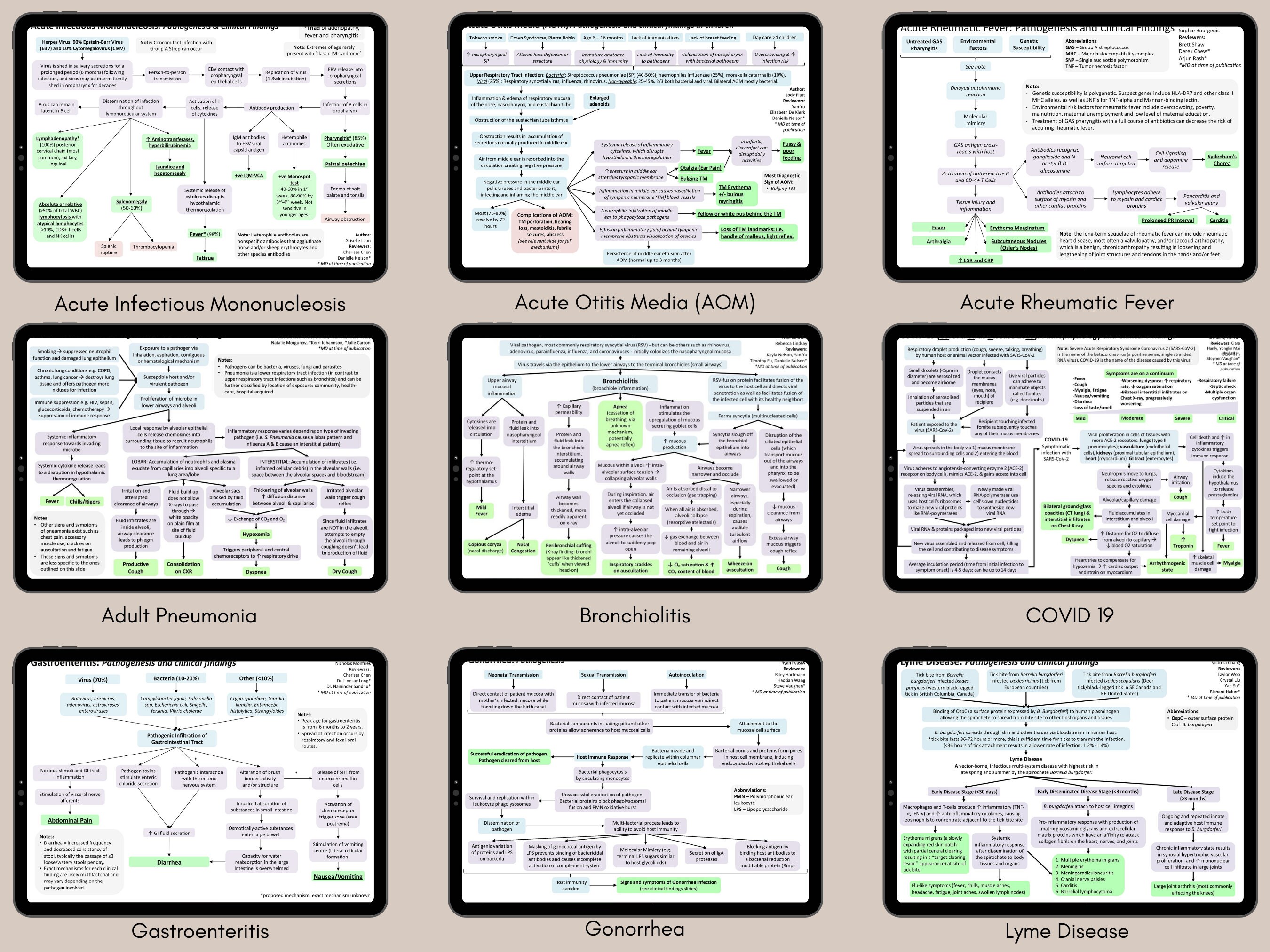 31+ Infectious Disease Pathophysiology Nursing Concept Map Disease ...