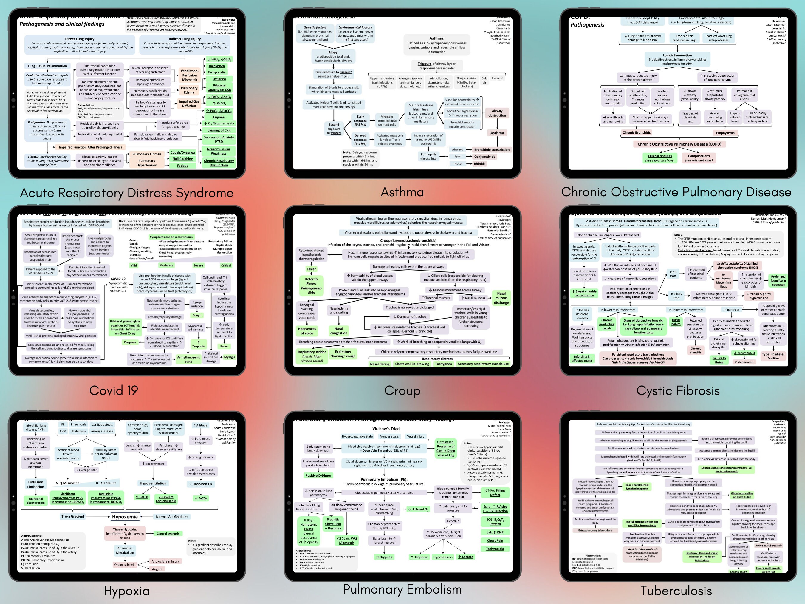 27 Respiratory Pathophysiology Nursing Concept Map Diseases ...