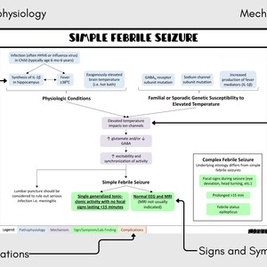 Endocrinology Pathophysiology + Nephrology Pathophysiology Bundle ...