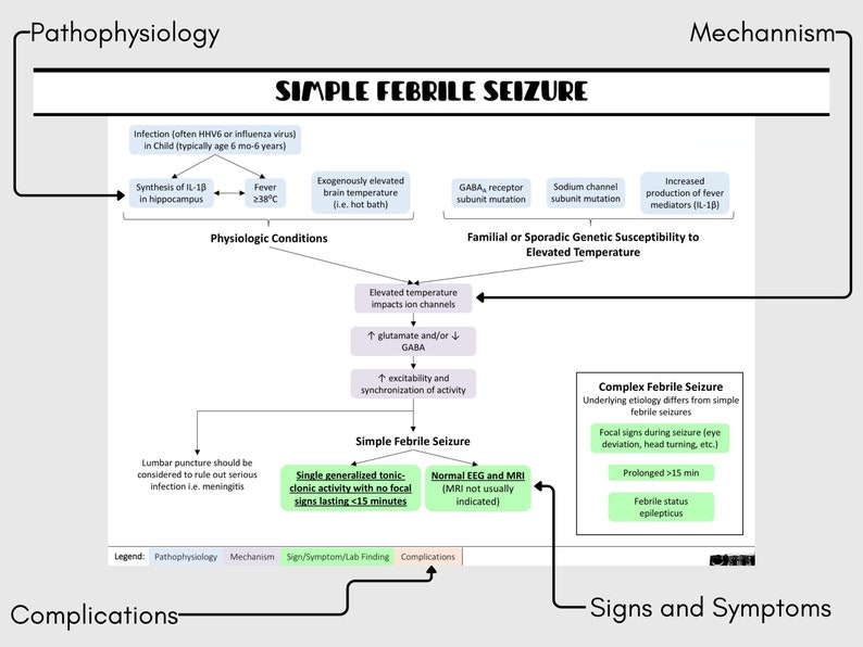 Endocrinology Pathophysiology + Nephrology Pathophysiology Bundle ...