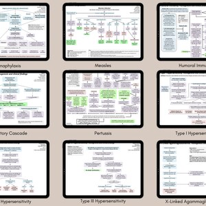 14+ Immunology Pathophysiology Nursing Notes Concept Map Measles ...