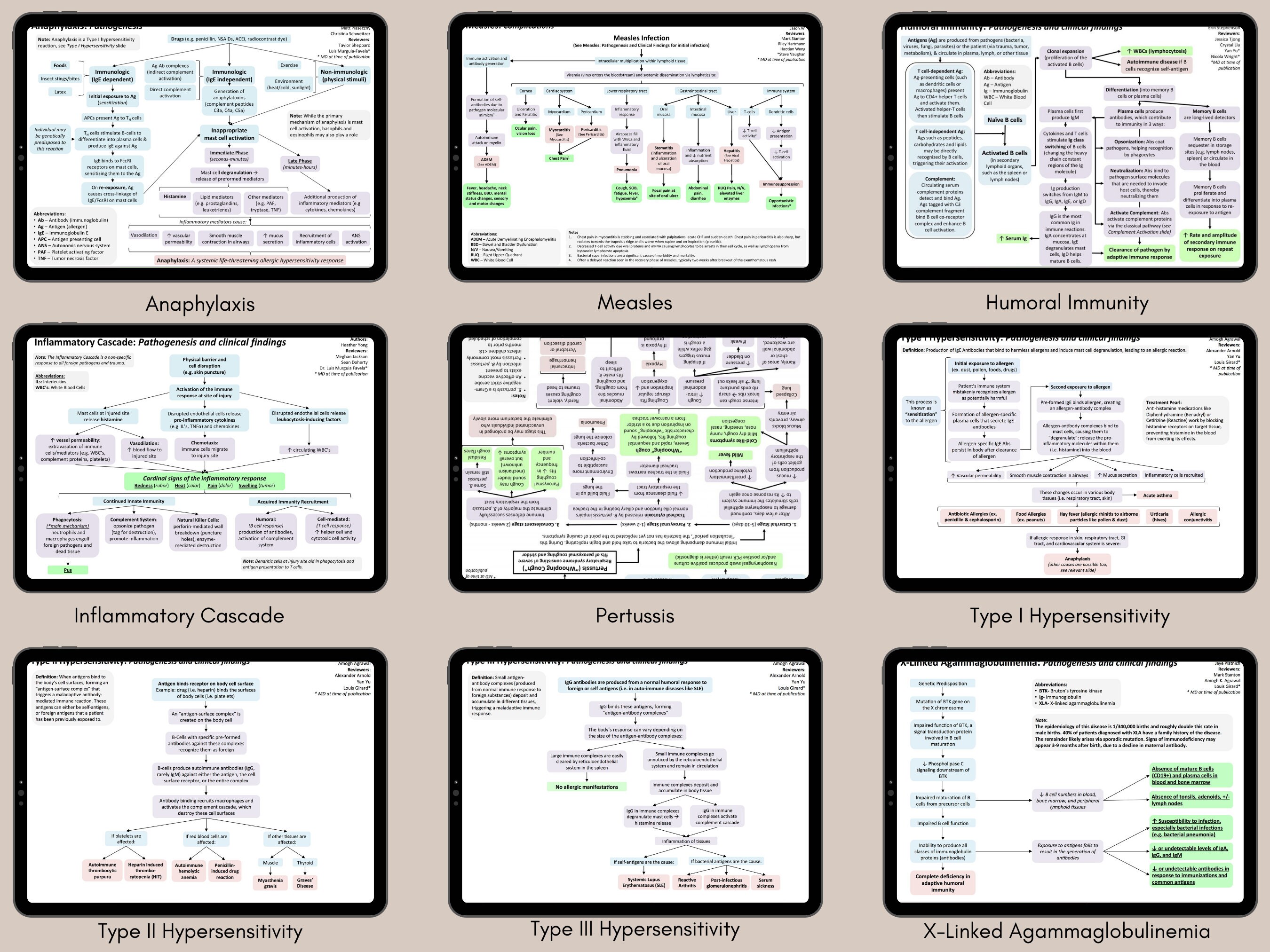 14+ Immunology Pathophysiology Nursing Notes Concept Map Measles ...