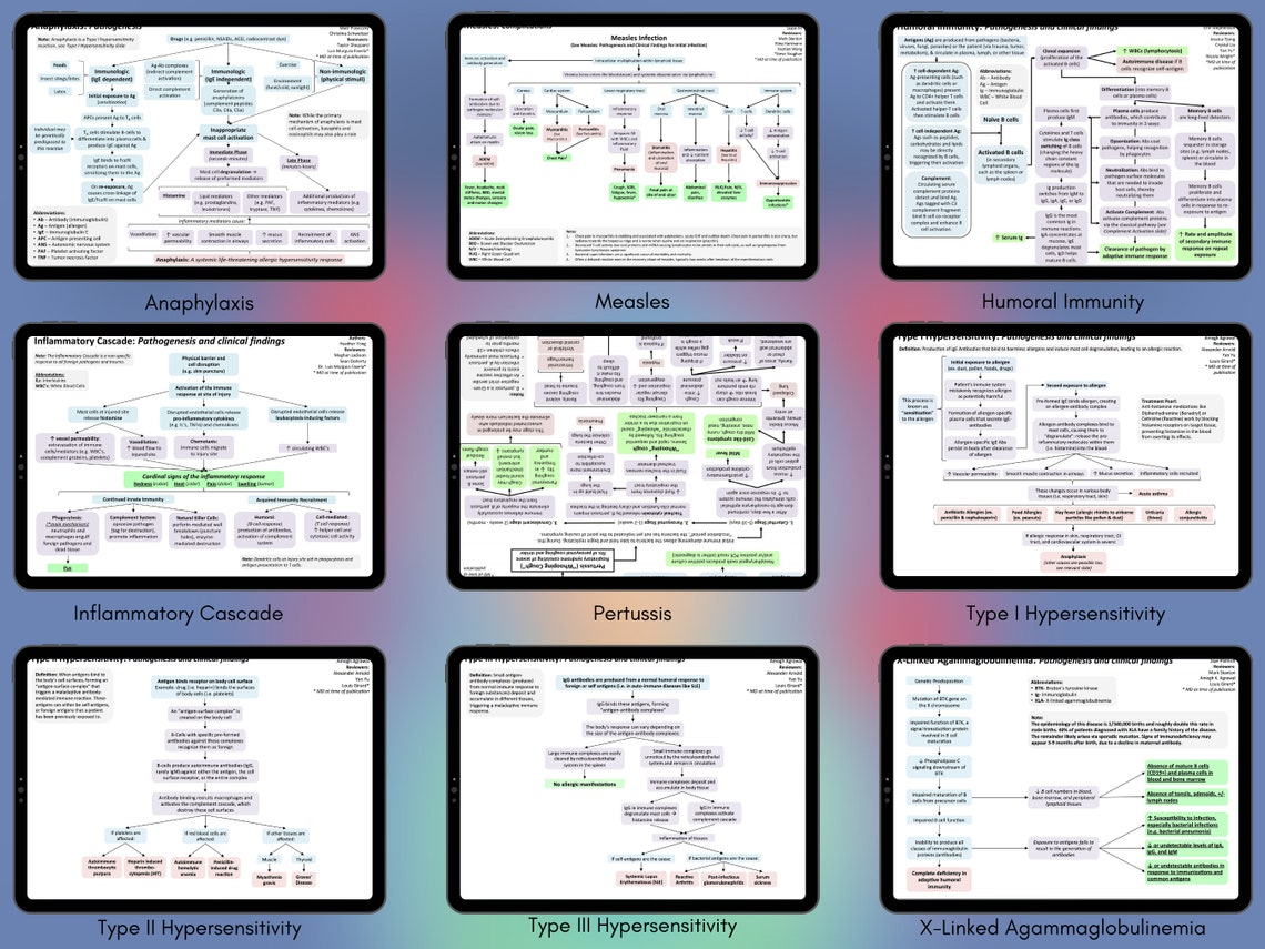 14 Immunology Pathophysiology Nursing Concept Map Diseases ...