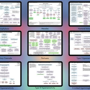 14 Immunology Pathophysiology Nursing Concept Map Diseases ...