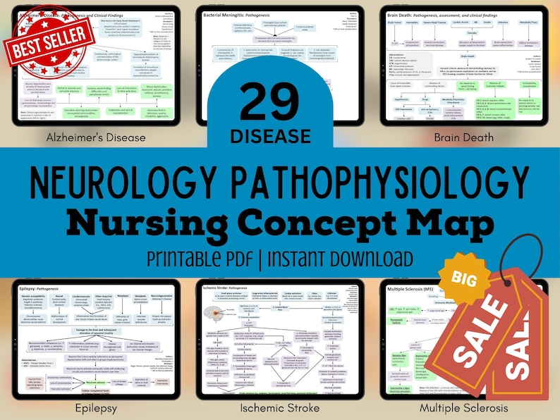 29 Neurology Pathophysiology Nursing Concept Map Disease - Etsy