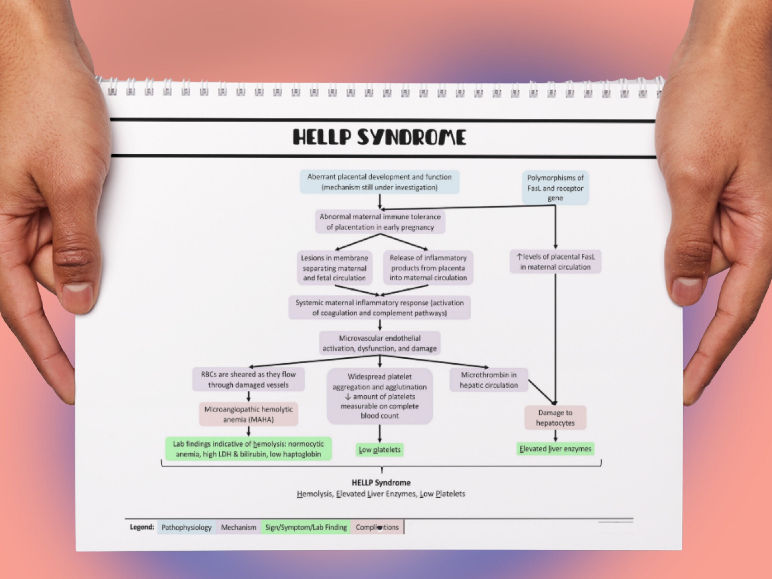 19 Obstetrics Pathophysiology Nursing Concept Map Diseases ...